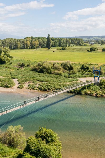 Tasman’s Great Taste Trail | Scenic Cycling & Local Flavours