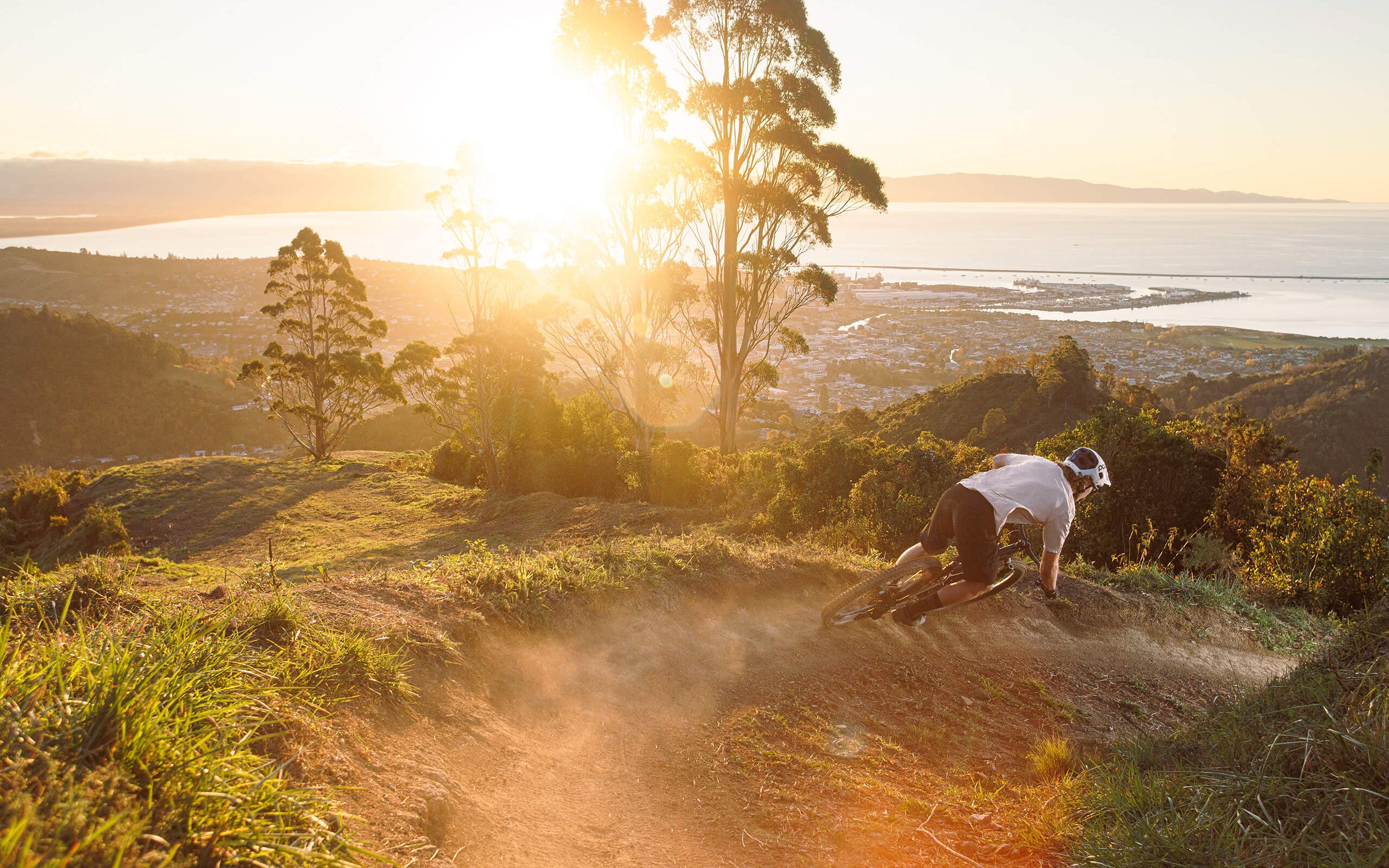 Koata Park (Codgers) | MTB Parks & Trails in Nelson Tasman