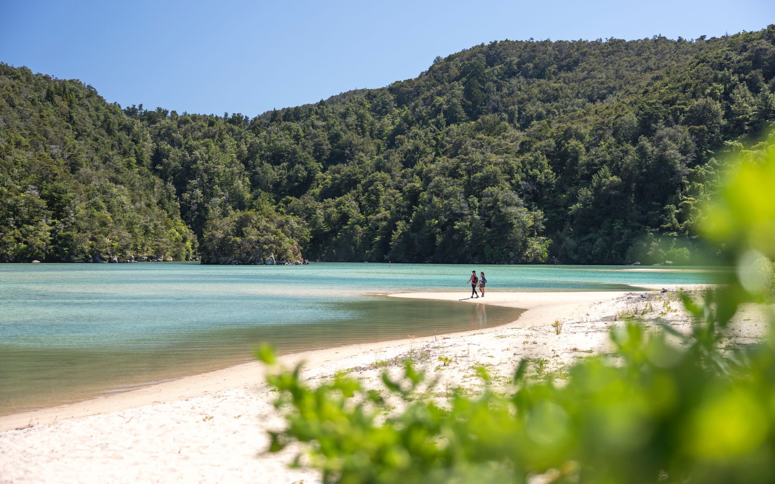 Why Winter Is the Perfect Time to Explore Abel Tasman National Park