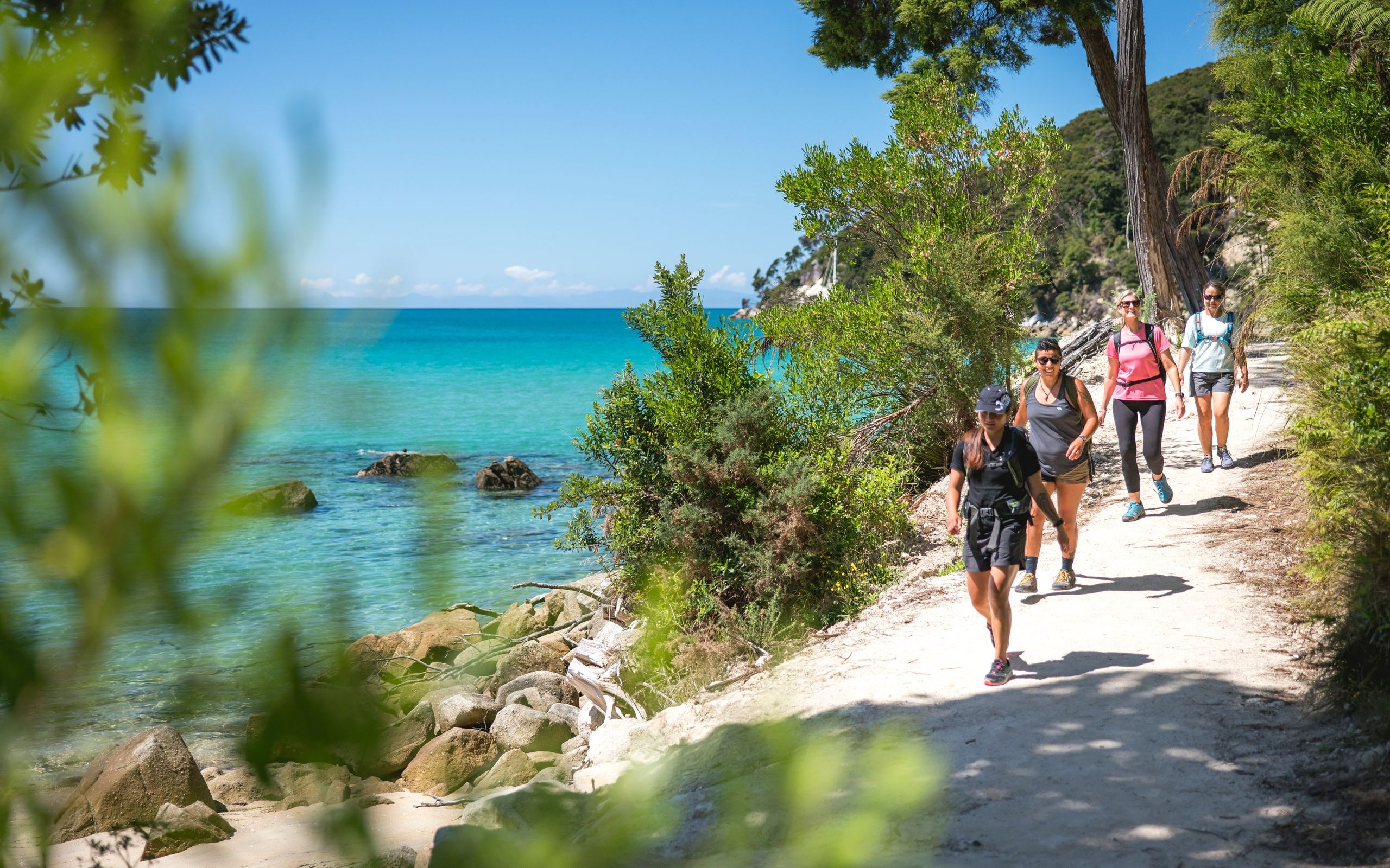 Discover Short Family-Friendly Walks in Nelson Tasman