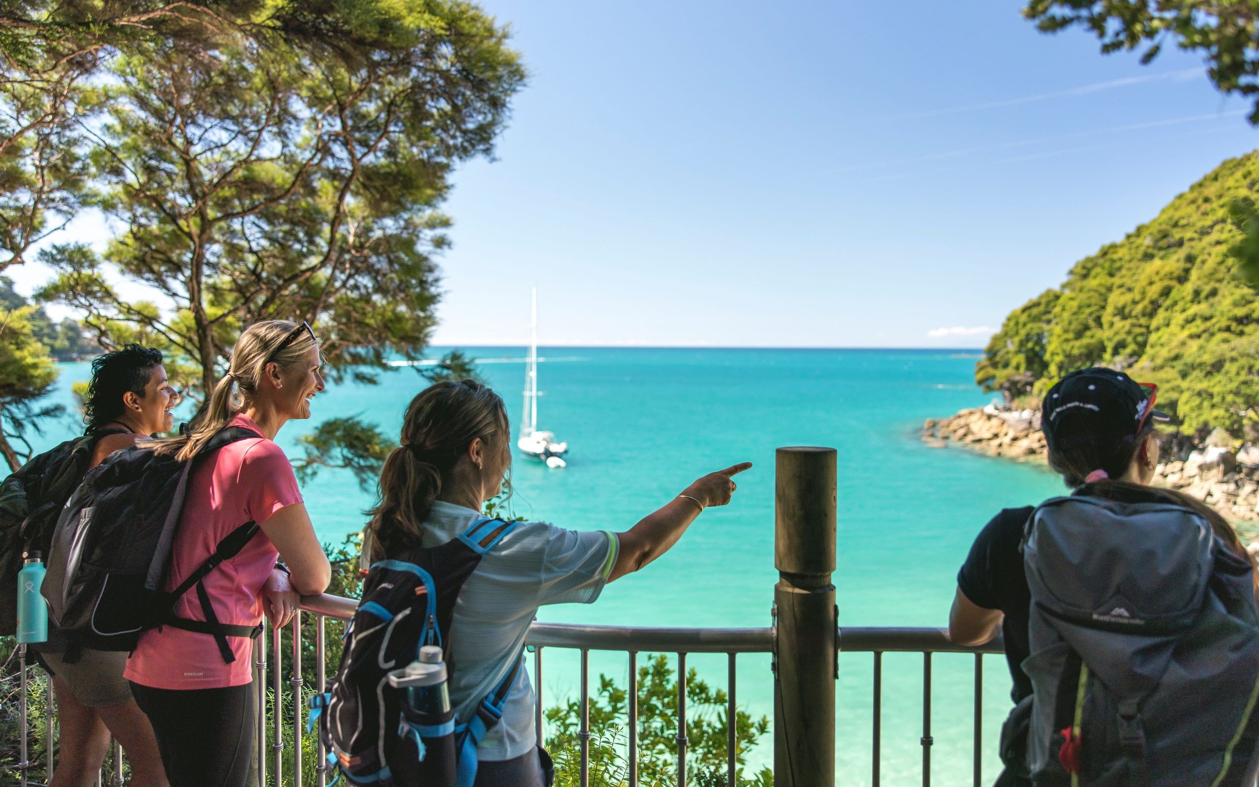 Best Walking & Hiking Tours in Nelson Tasman | Explore Nature