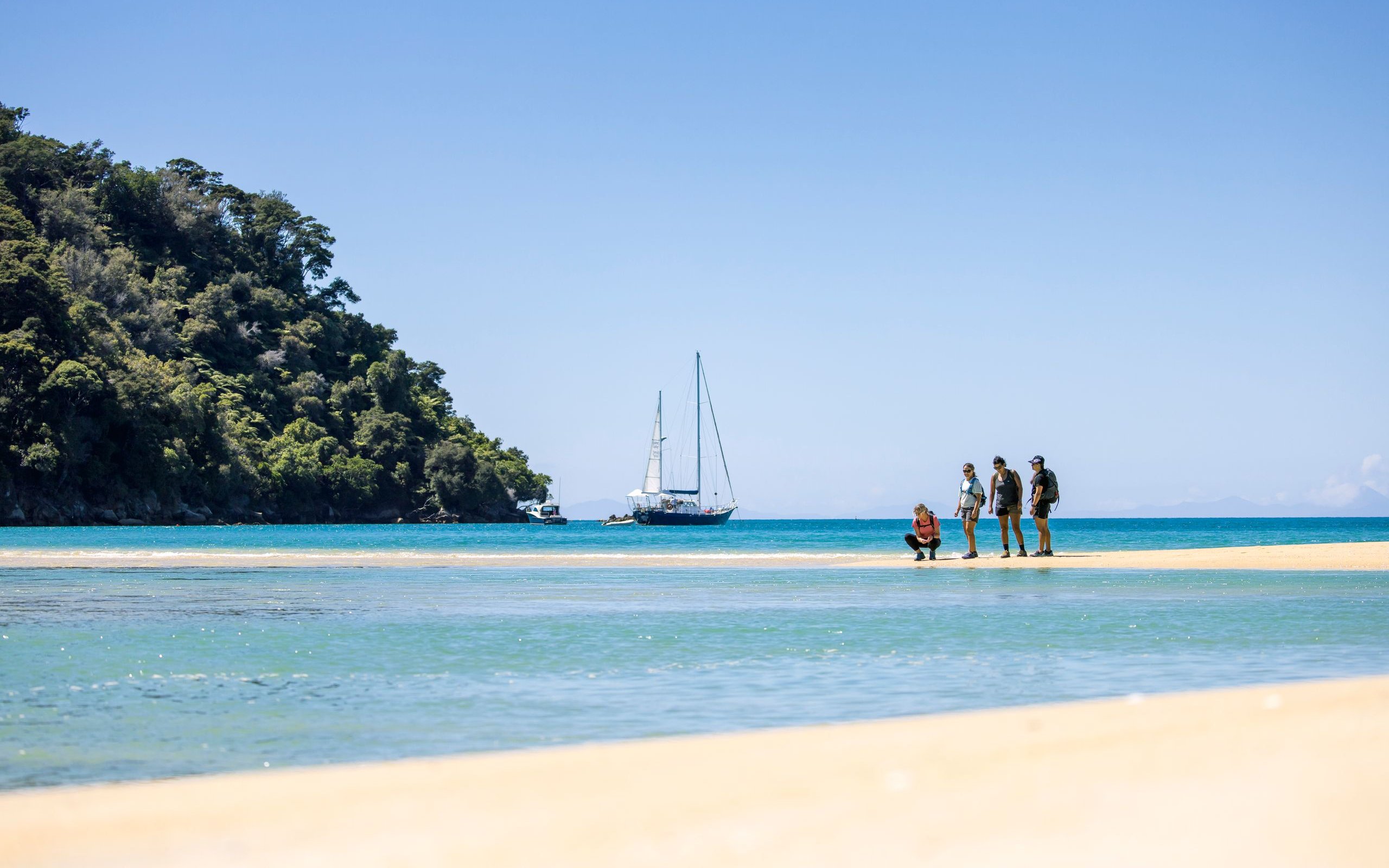 Nelson Tasman | Official Travel Guide & Trusted Business Hub