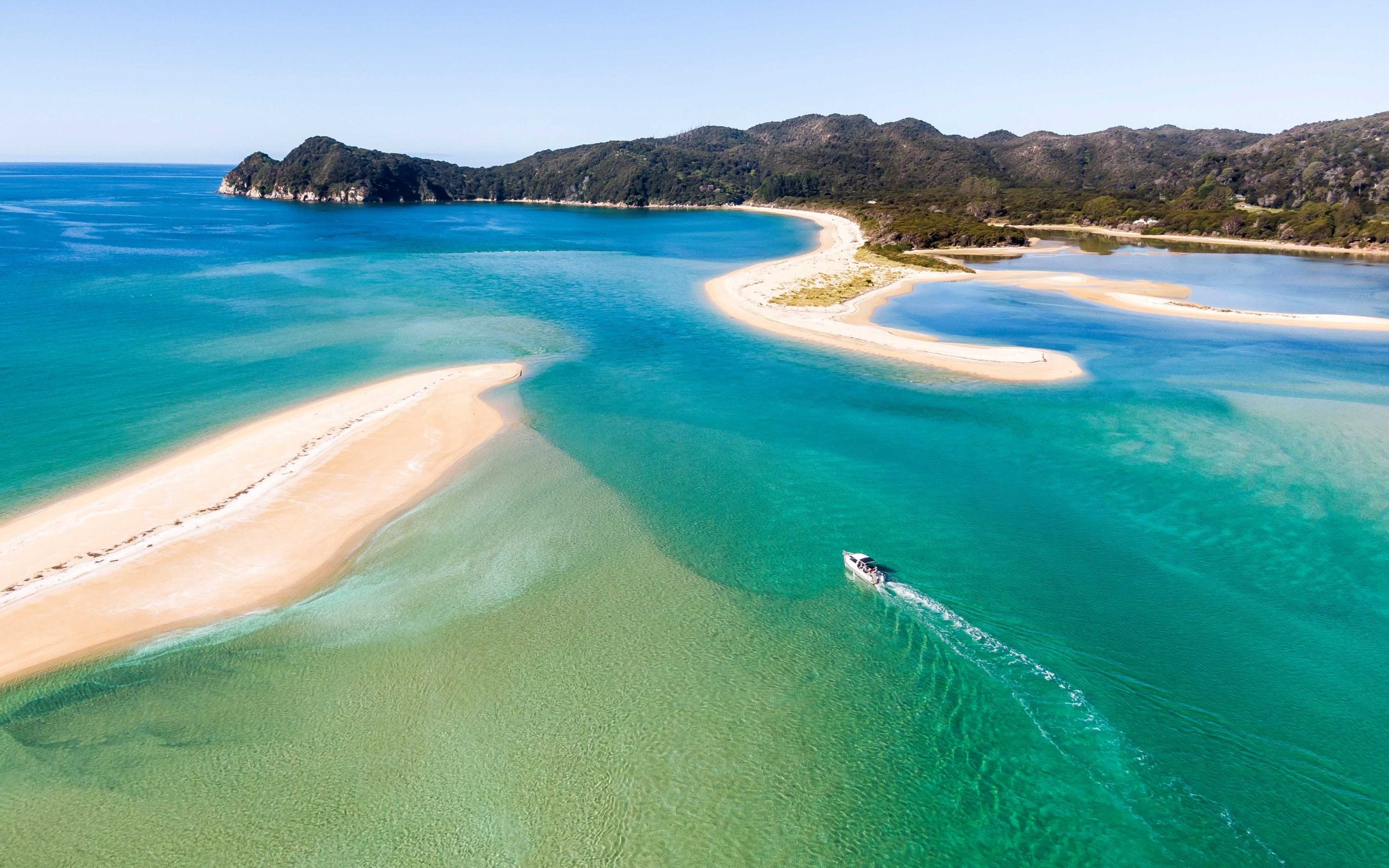 Abel Tasman Water Taxis | Explore Beaches, Tracks and Hidden Coves