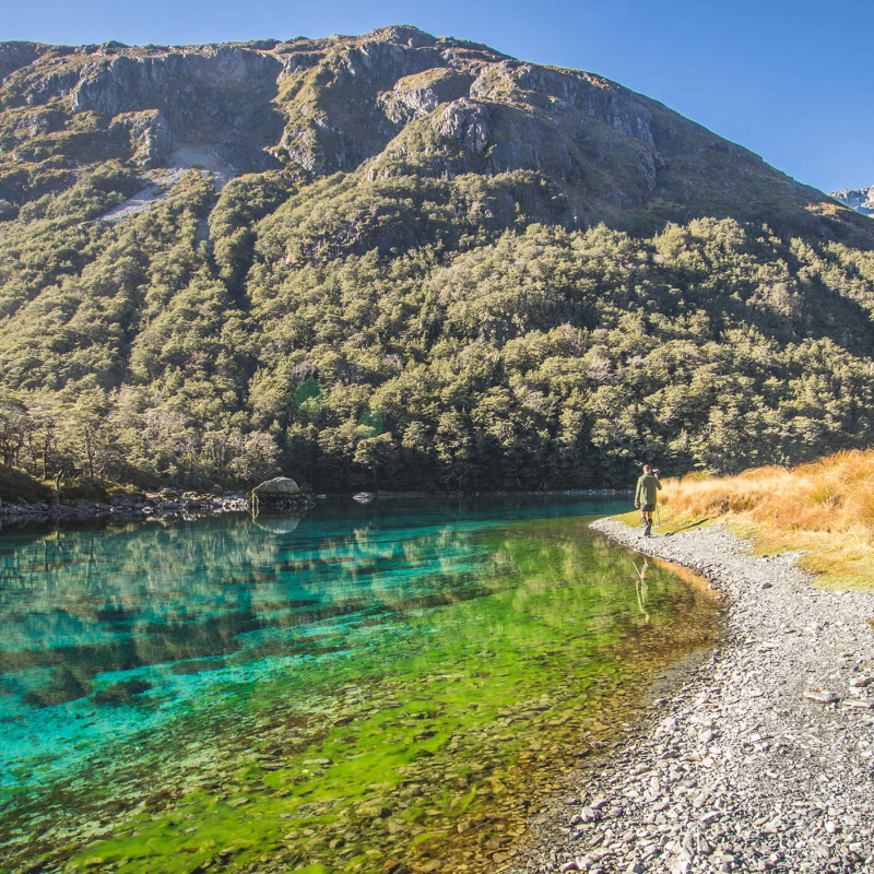 Top Things to Do in Nelson Lakes | Explore Activities