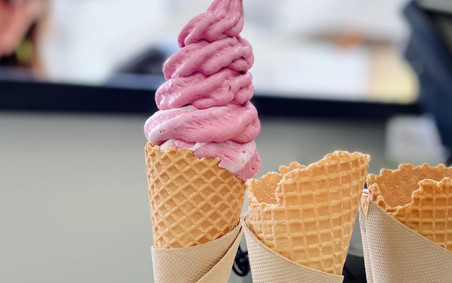 Best Ice Creams in Nelson Tasman