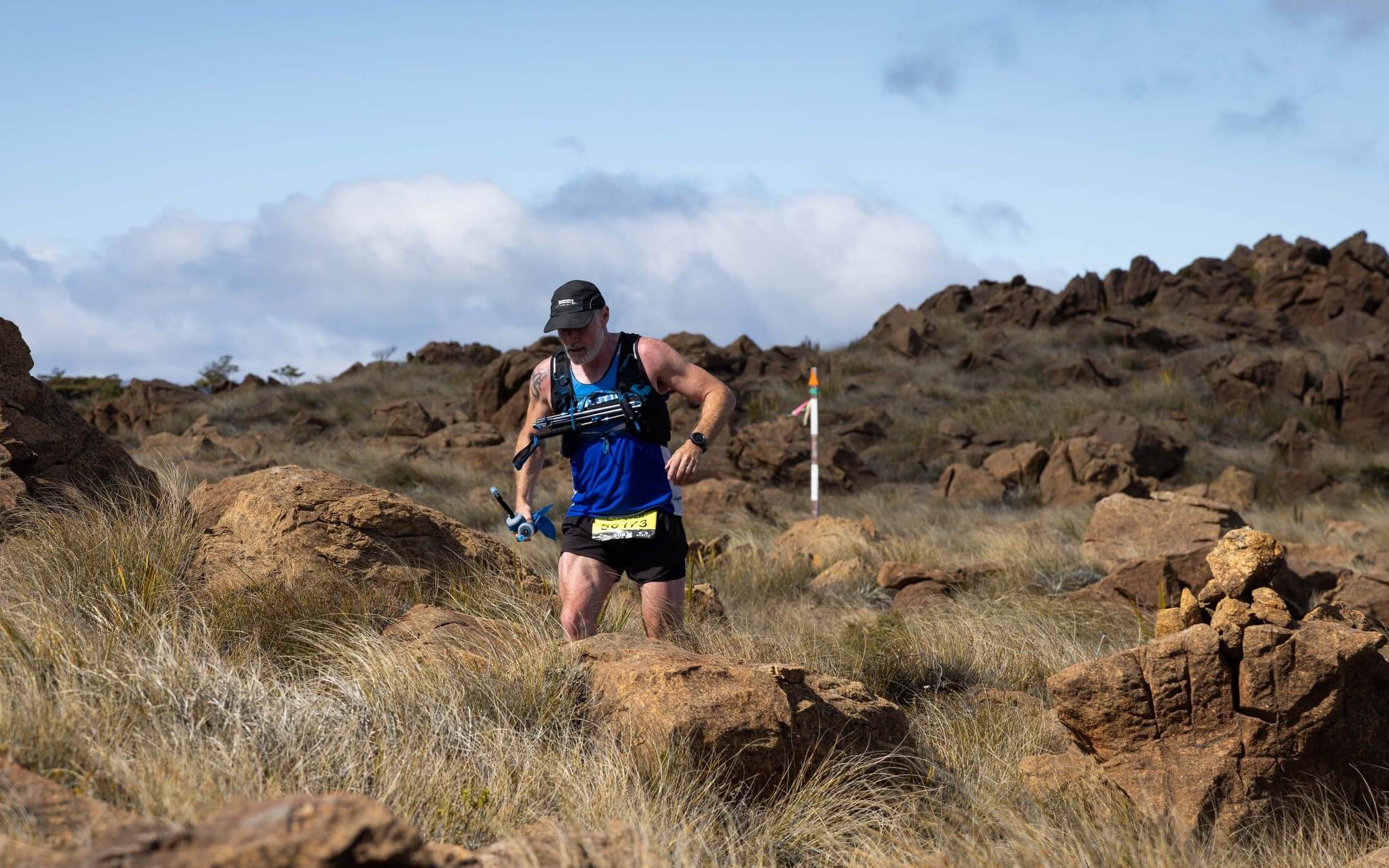 The Spectacle | Summer Events in Nelson Tasman