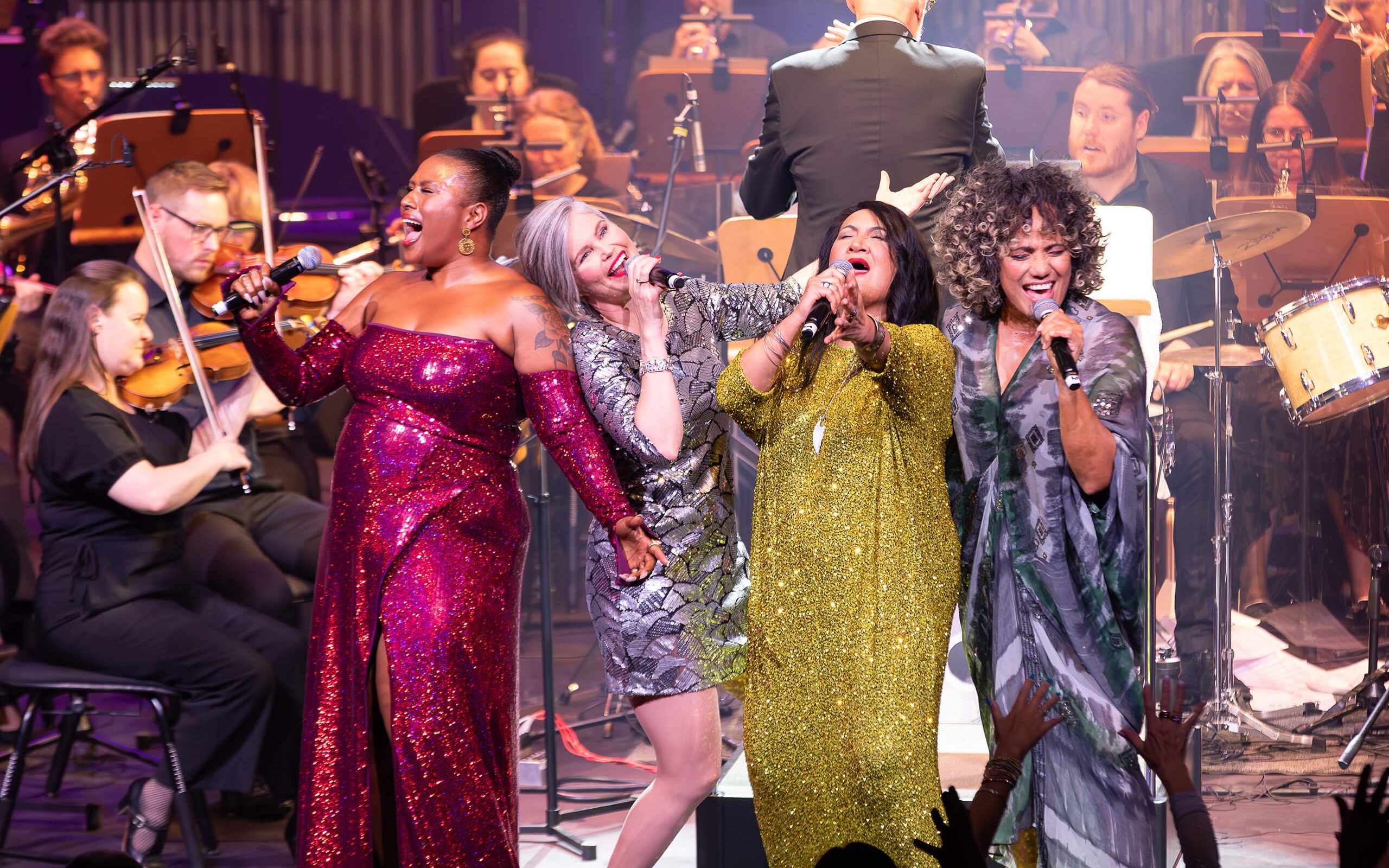 Nelson Opera In The Park | Summer Events in Nelson Tasman