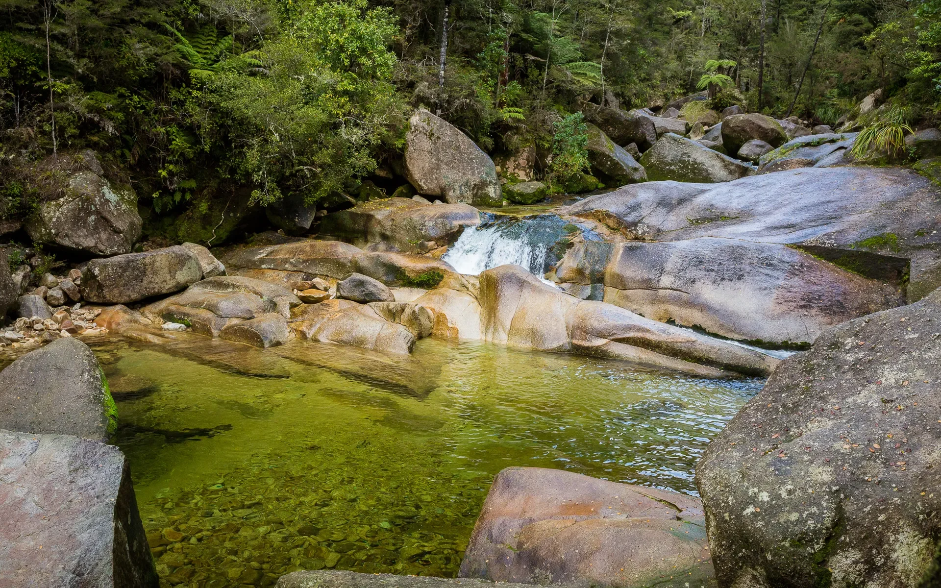 Visit Stunning Cleopatra's Pools | Explore Nelson Tasman