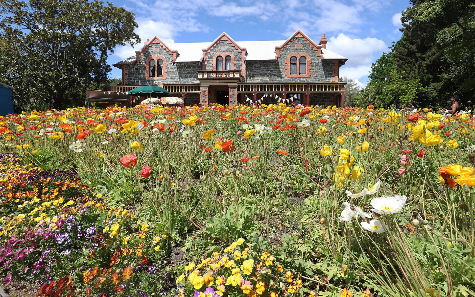 Isel Twilight Market