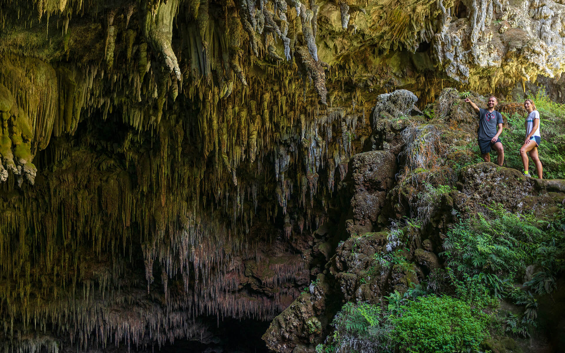 Rawhiti Cave Track