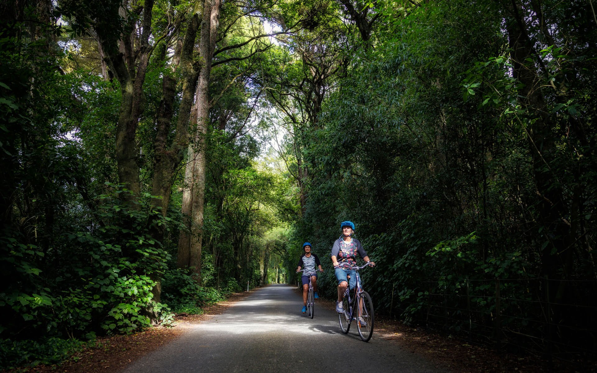 Discover Motueka | A Top Nelson Tasman Destination